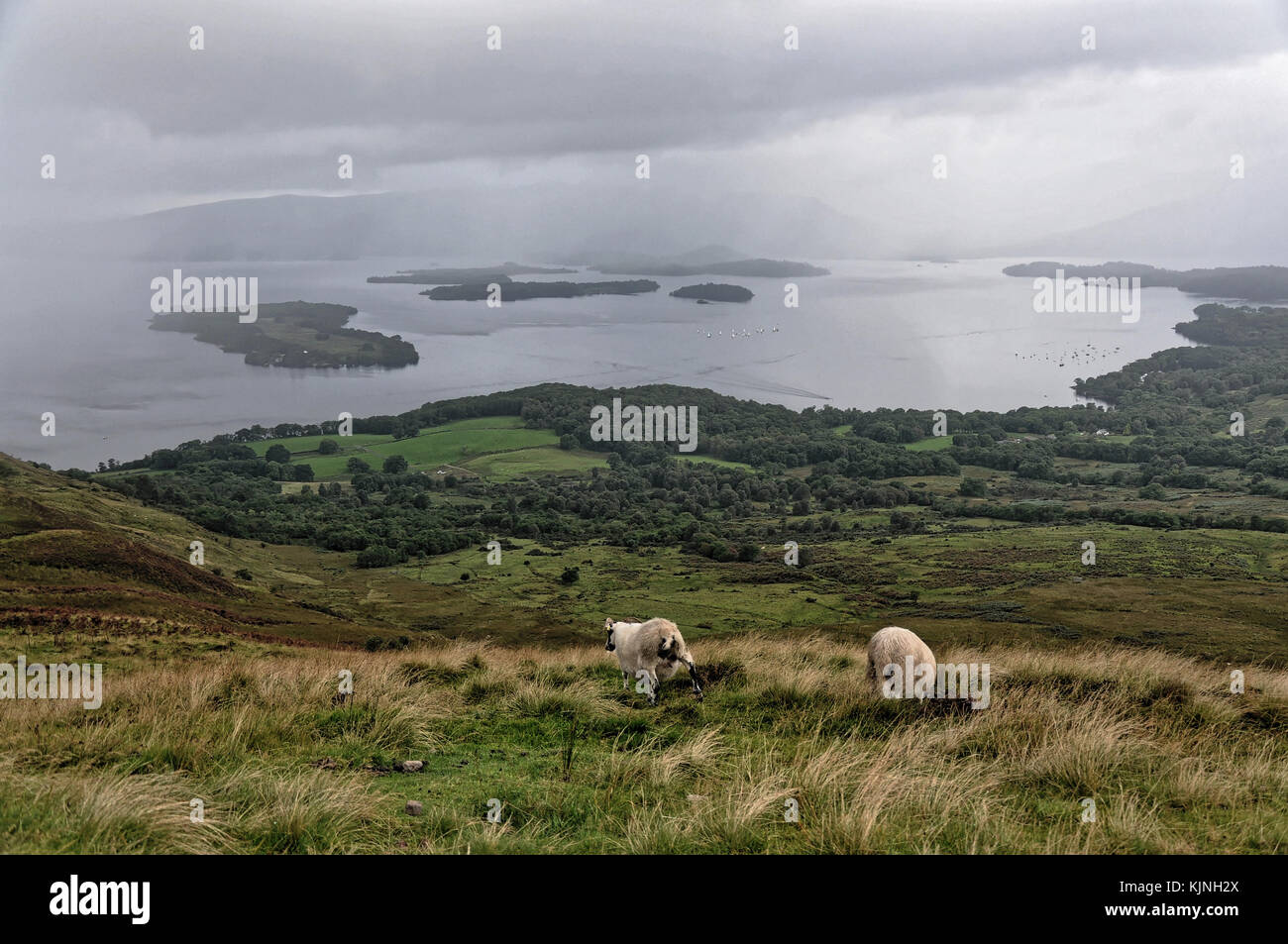 Scotland Landscape Loch Lomond View Stock Photo - Alamy
