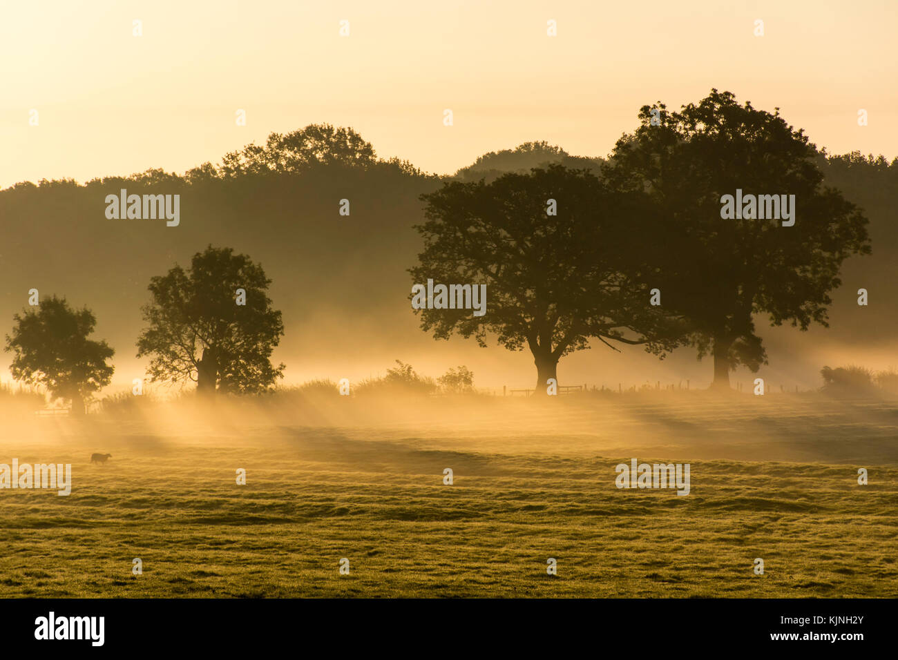 a hazy sunrise across south leicestershire Stock Photo - Alamy