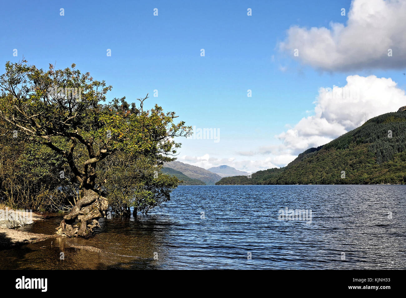 Loch lomond landscape hi-res stock photography and images - Alamy