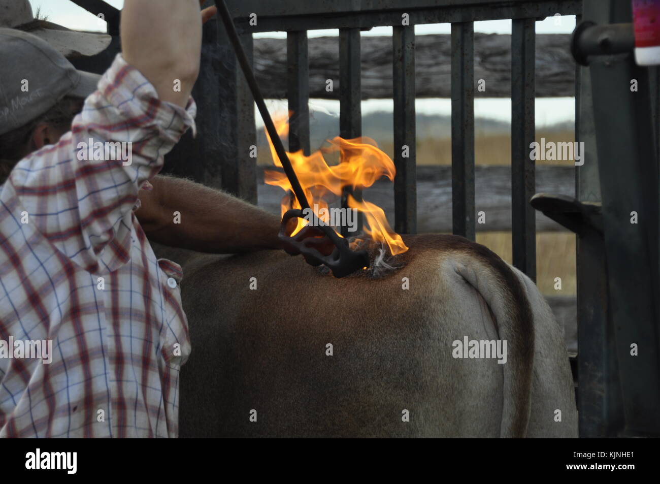 Branding iron hi-res stock photography and images - Alamy