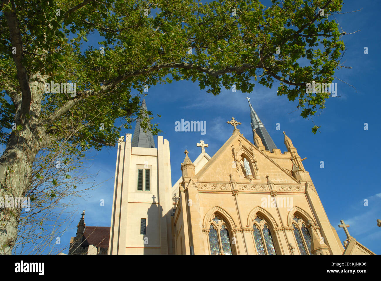 Saint Mary's Cathedral, Perth, Western Australia Stock Photo - Alamy