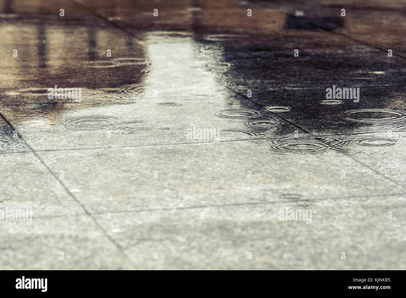 Wet walkway in park after rain Stock Photo - Alamy