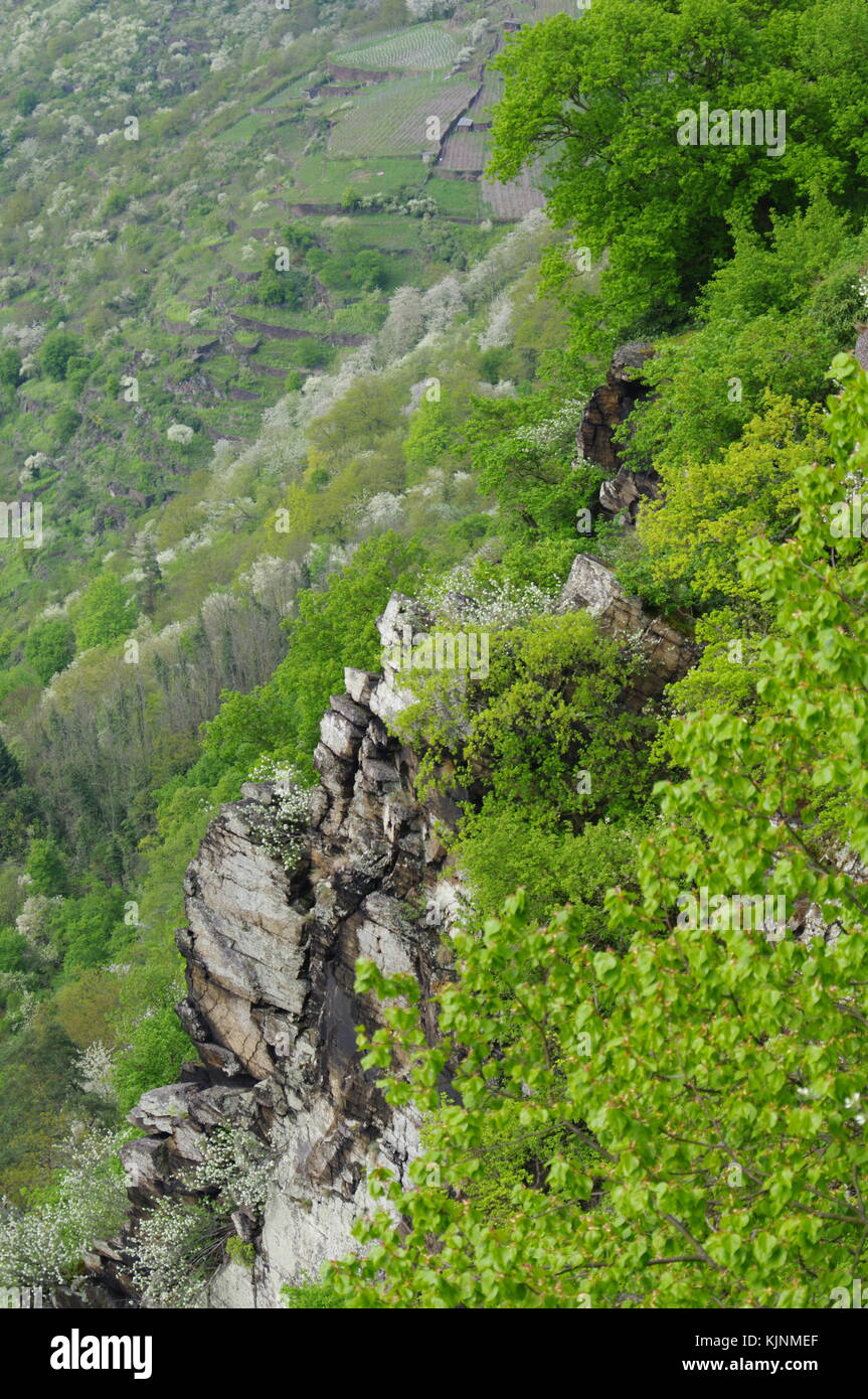 Rhine valley river hi-res stock photography and images - Alamy