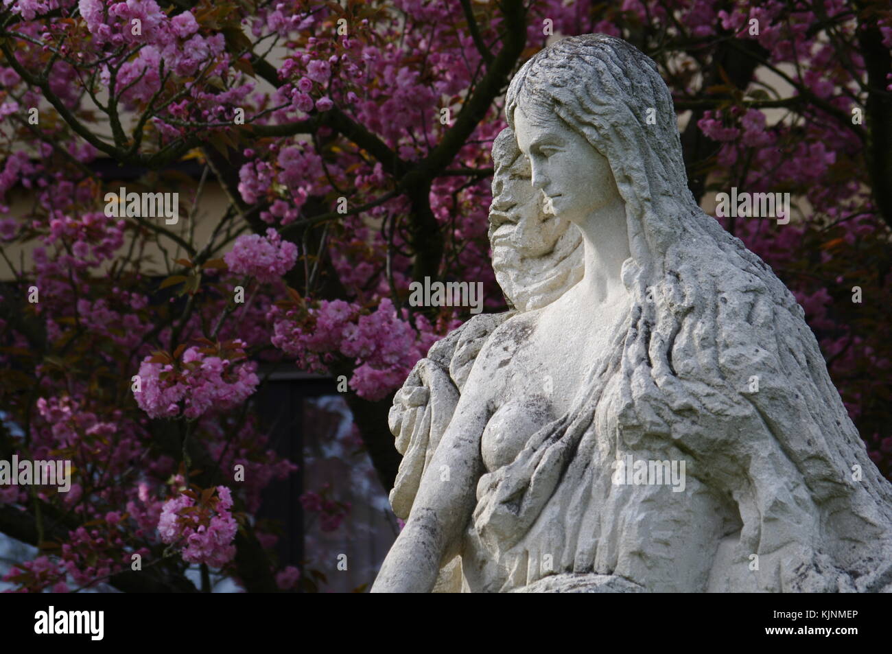 Stone Statues inside Park and Cherry Trees Stock Photo - Alamy