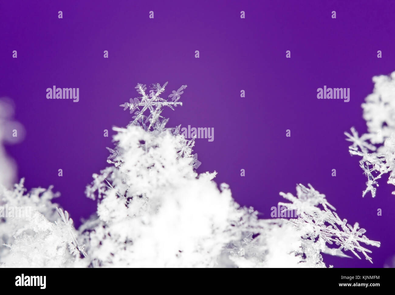 natural snowflakes on snow, photo real snowflakes during a snowfall ...