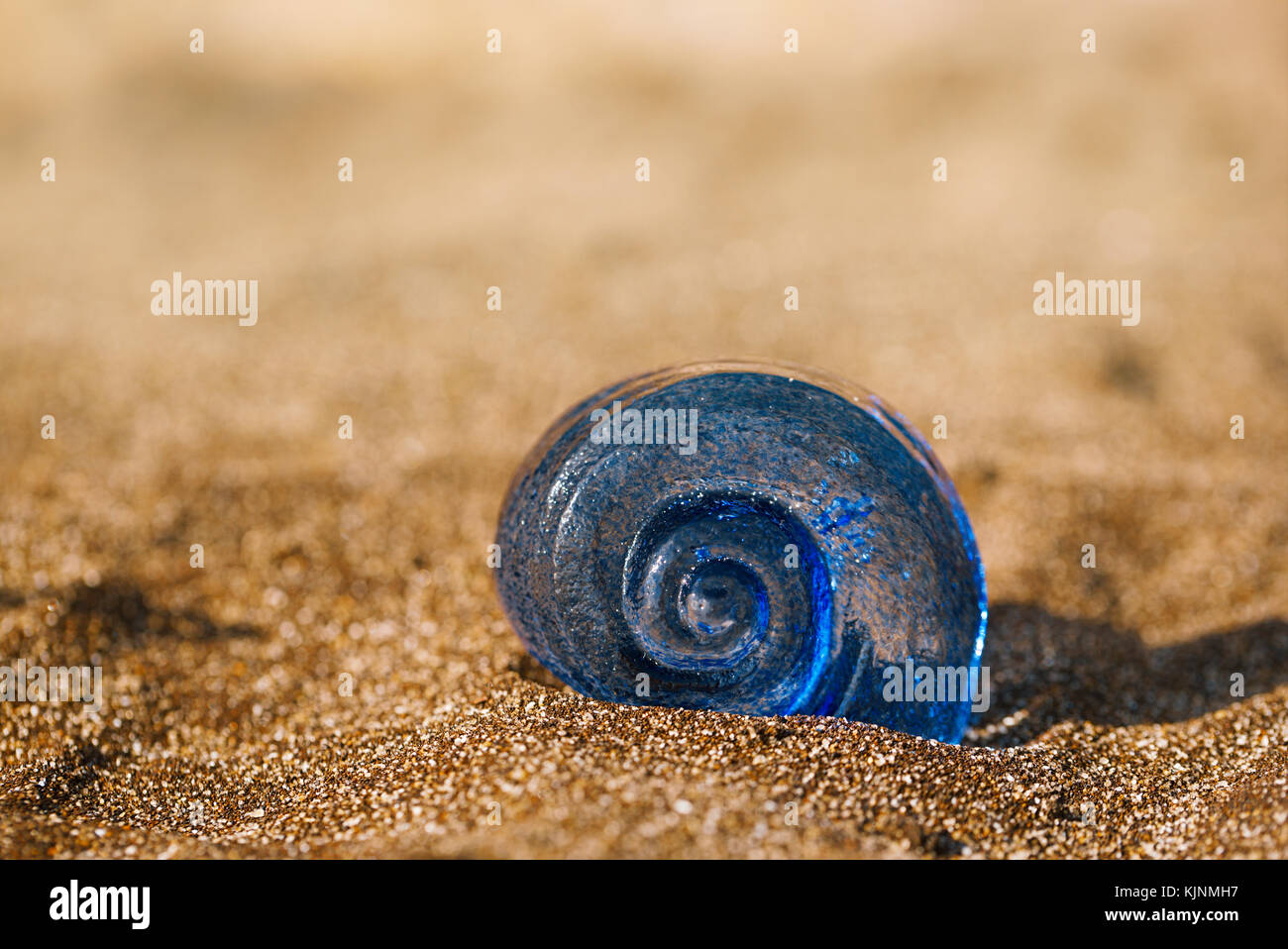 glass tropical sea shell with waves under sunrise sun light, shallow ...