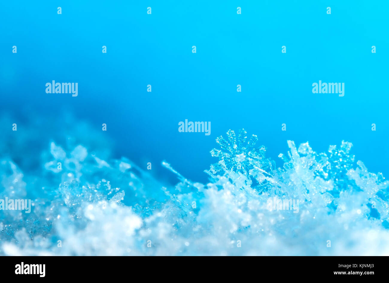 natural snowflakes on snow, photo real snowflakes during a snowfall ...