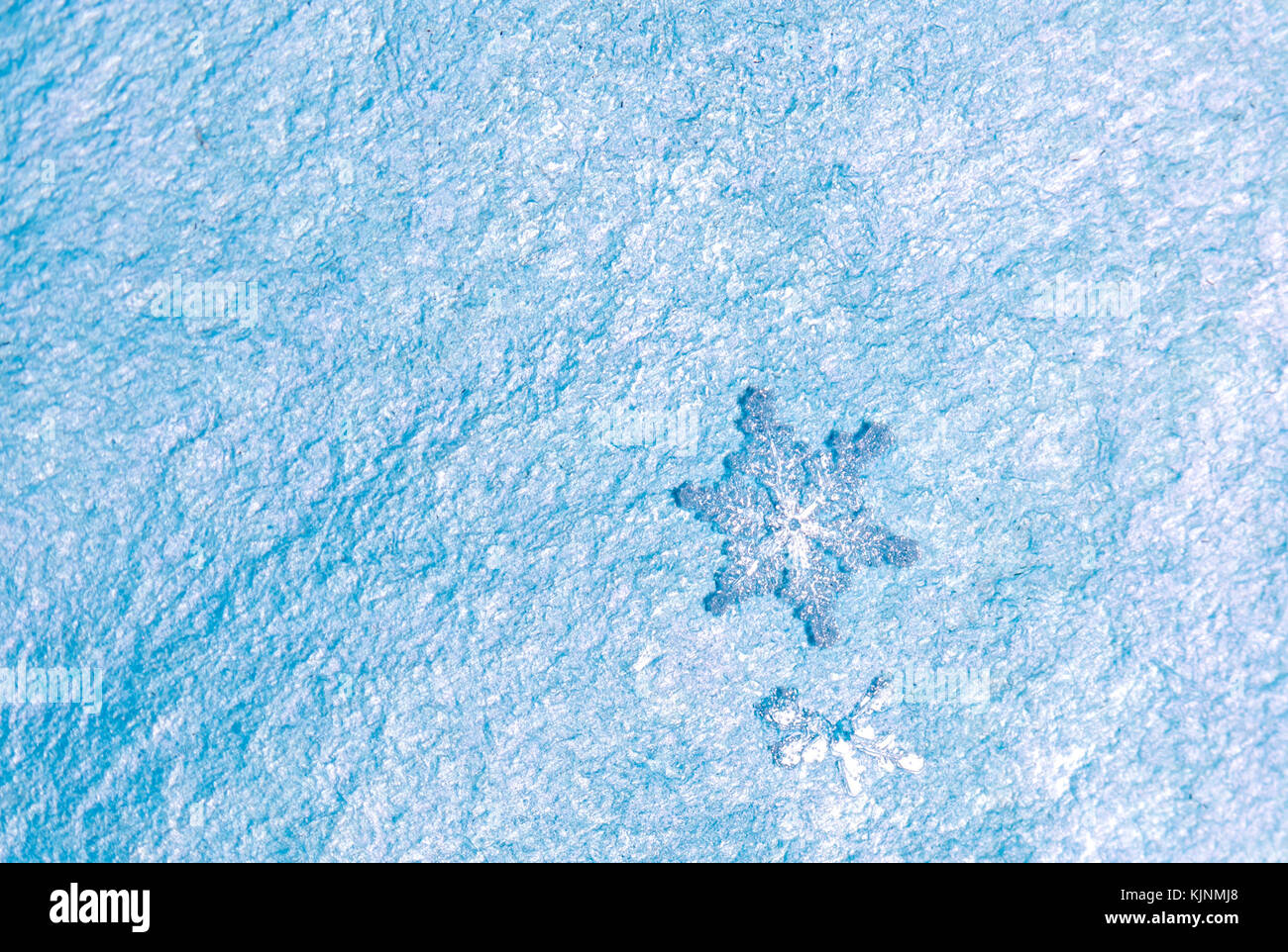 natural snowflakes on snow, photo real snowflakes during a snowfall ...
