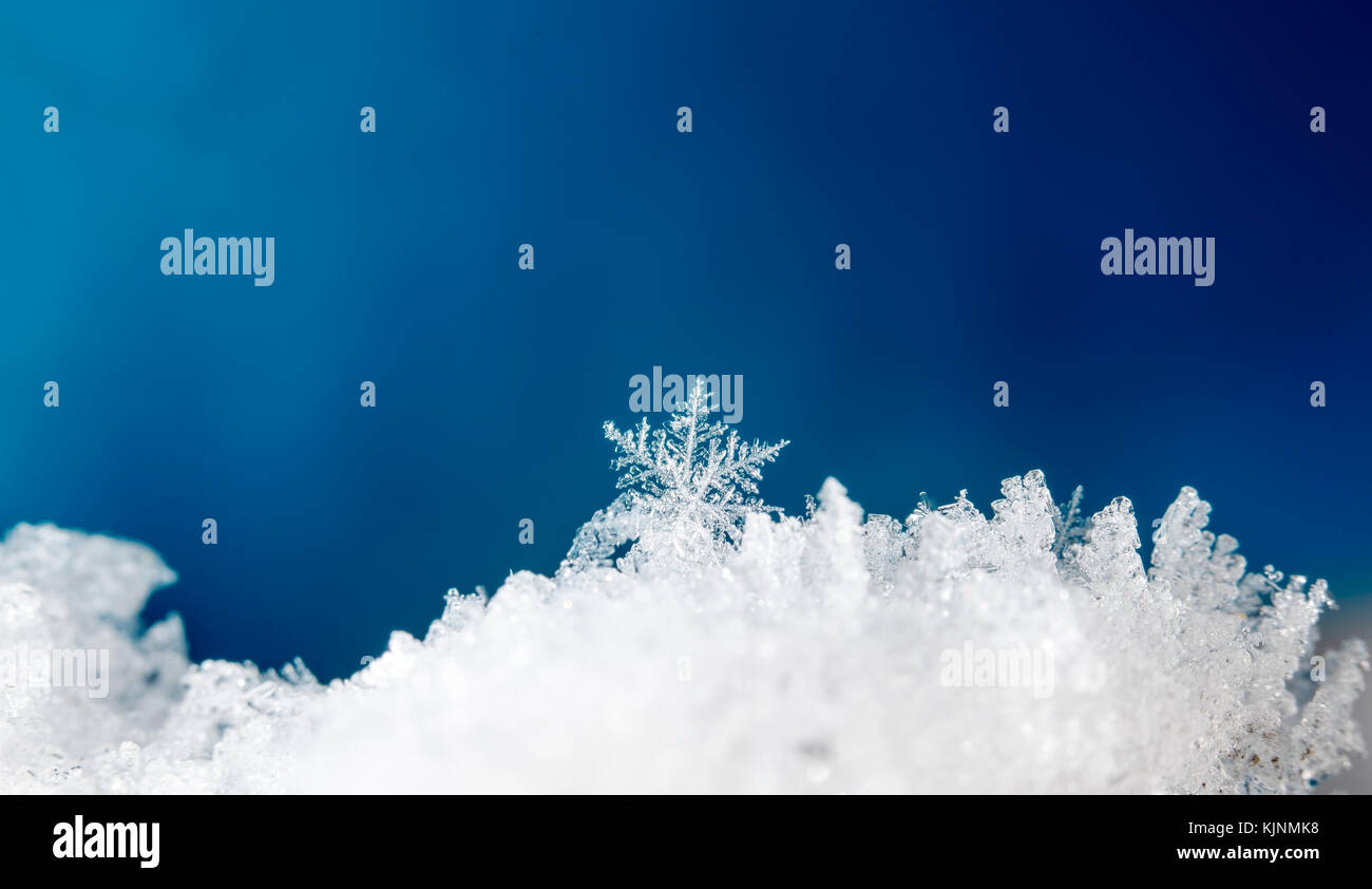 natural snowflakes on snow, photo real snowflakes during a snowfall ...