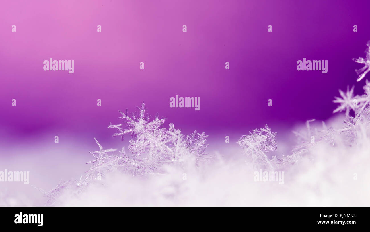 natural snowflakes on snow, photo real snowflakes during a snowfall ...
