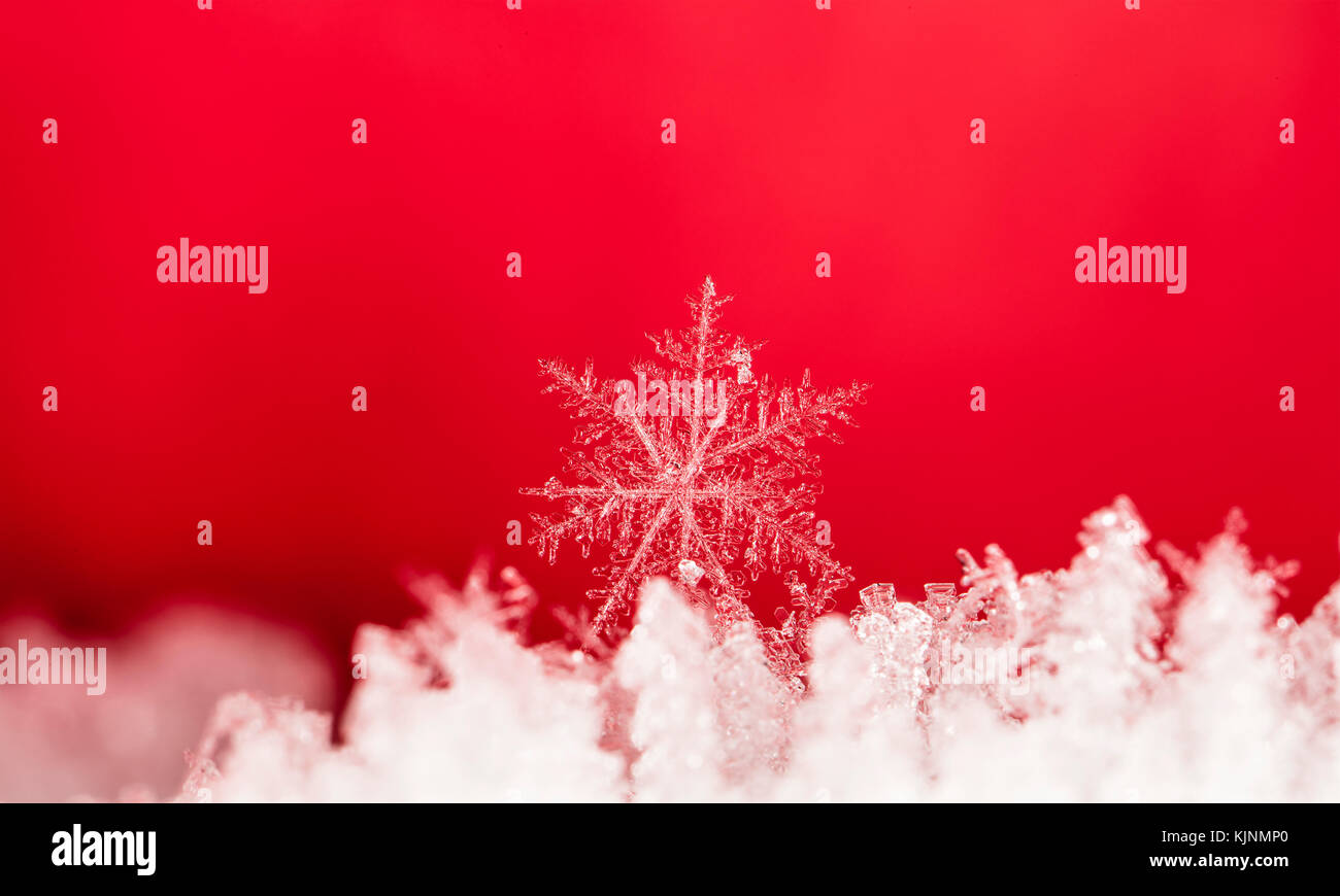 natural snowflakes on snow, photo real snowflakes during a snowfall ...