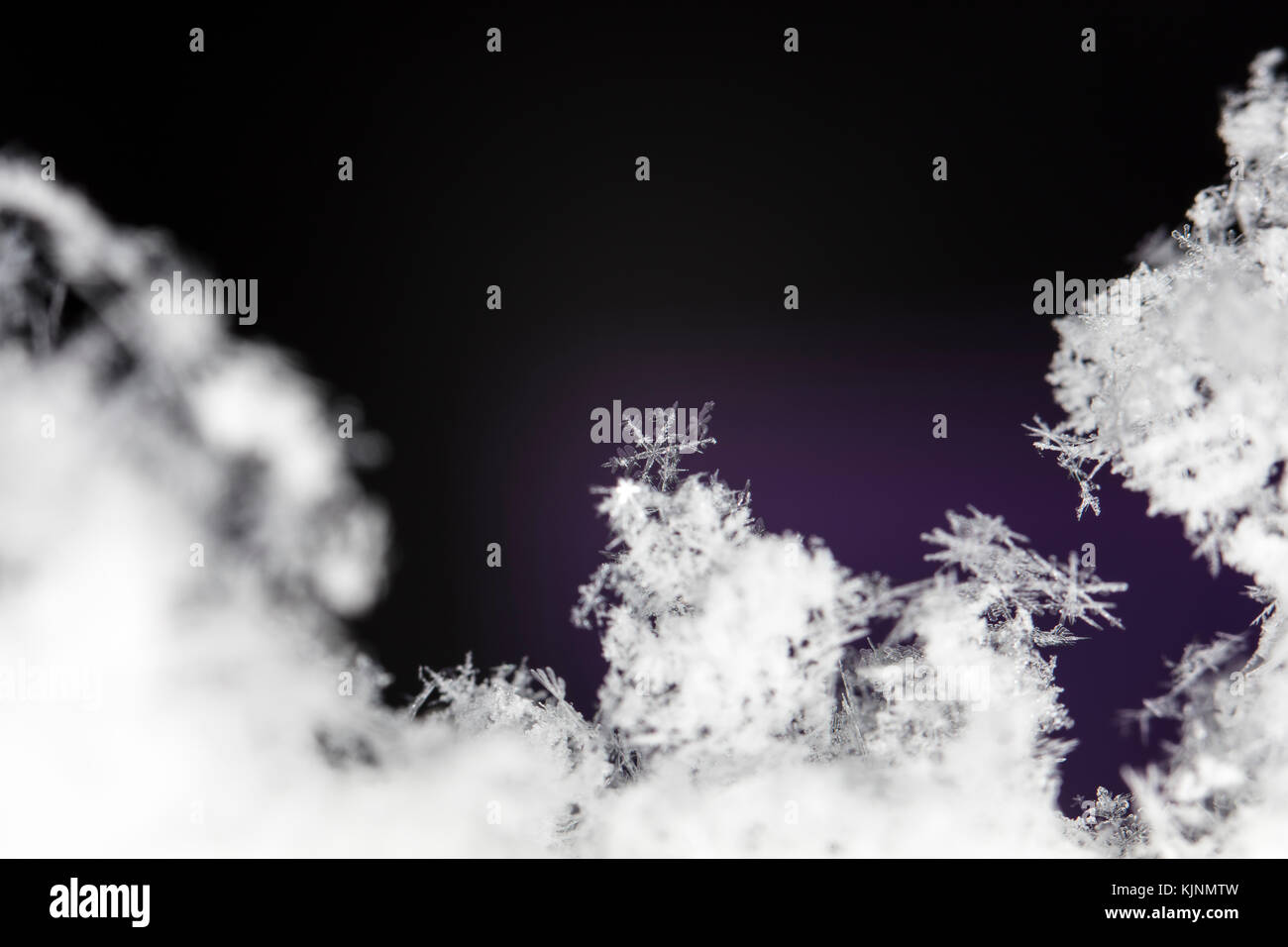 natural snowflakes on snow, photo real snowflakes during a snowfall ...