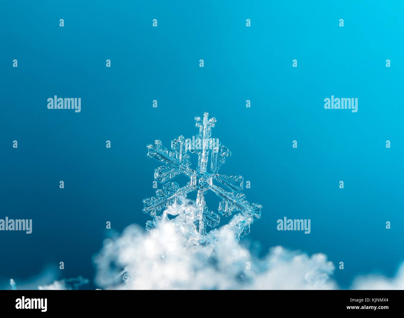 natural snowflakes on snow, photo real snowflakes during a snowfall ...