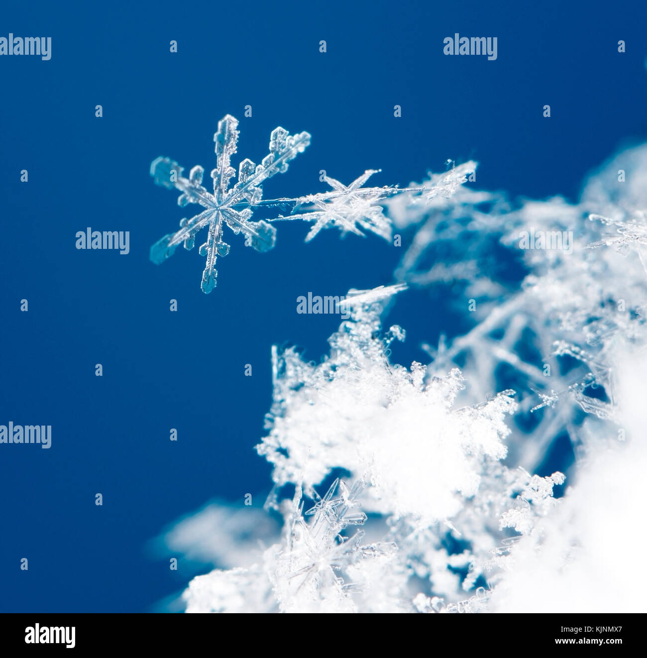 natural snowflakes on snow, photo real snowflakes during a snowfall ...