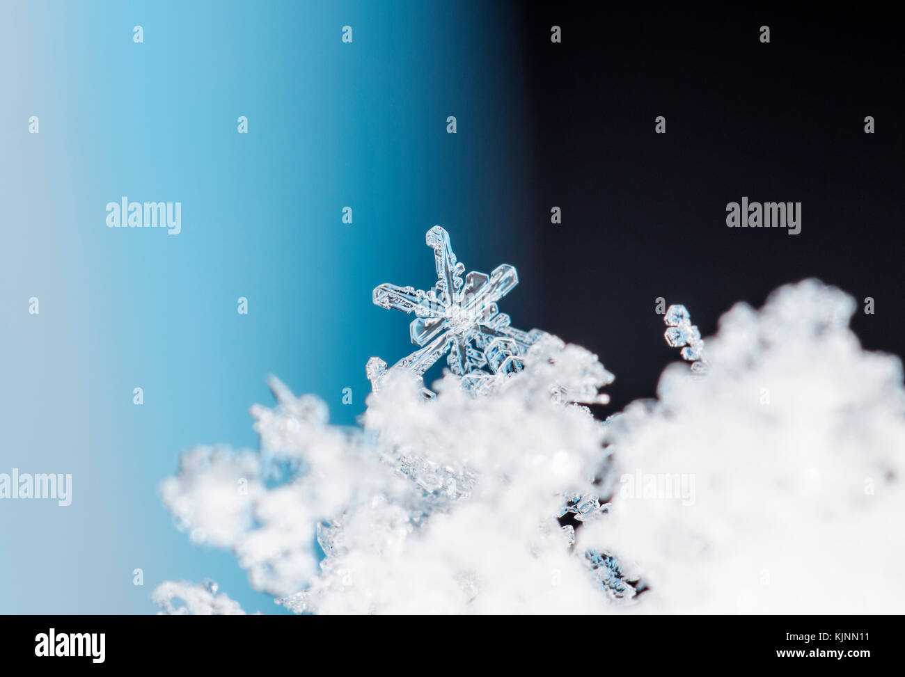 natural snowflakes on snow, photo real snowflakes during a snowfall ...