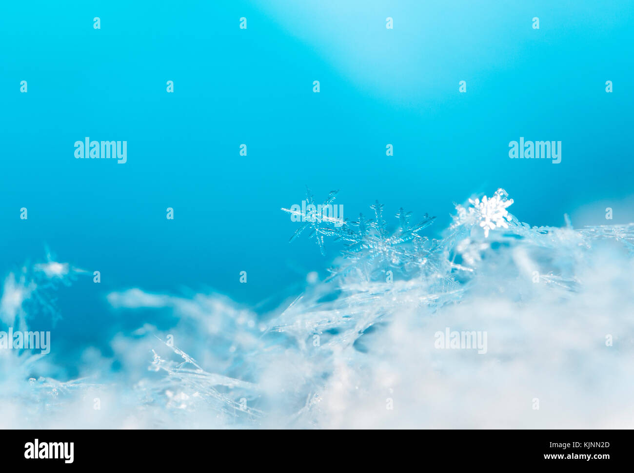 natural snowflakes on snow, photo real snowflakes during a snowfall ...