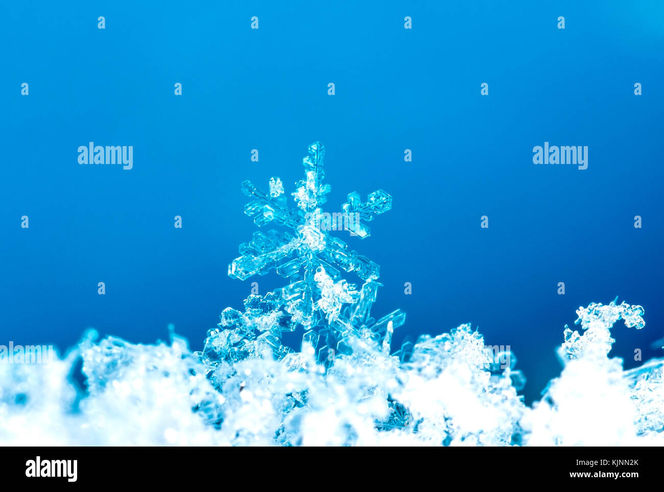 natural snowflakes on snow, photo real snowflakes during a snowfall ...