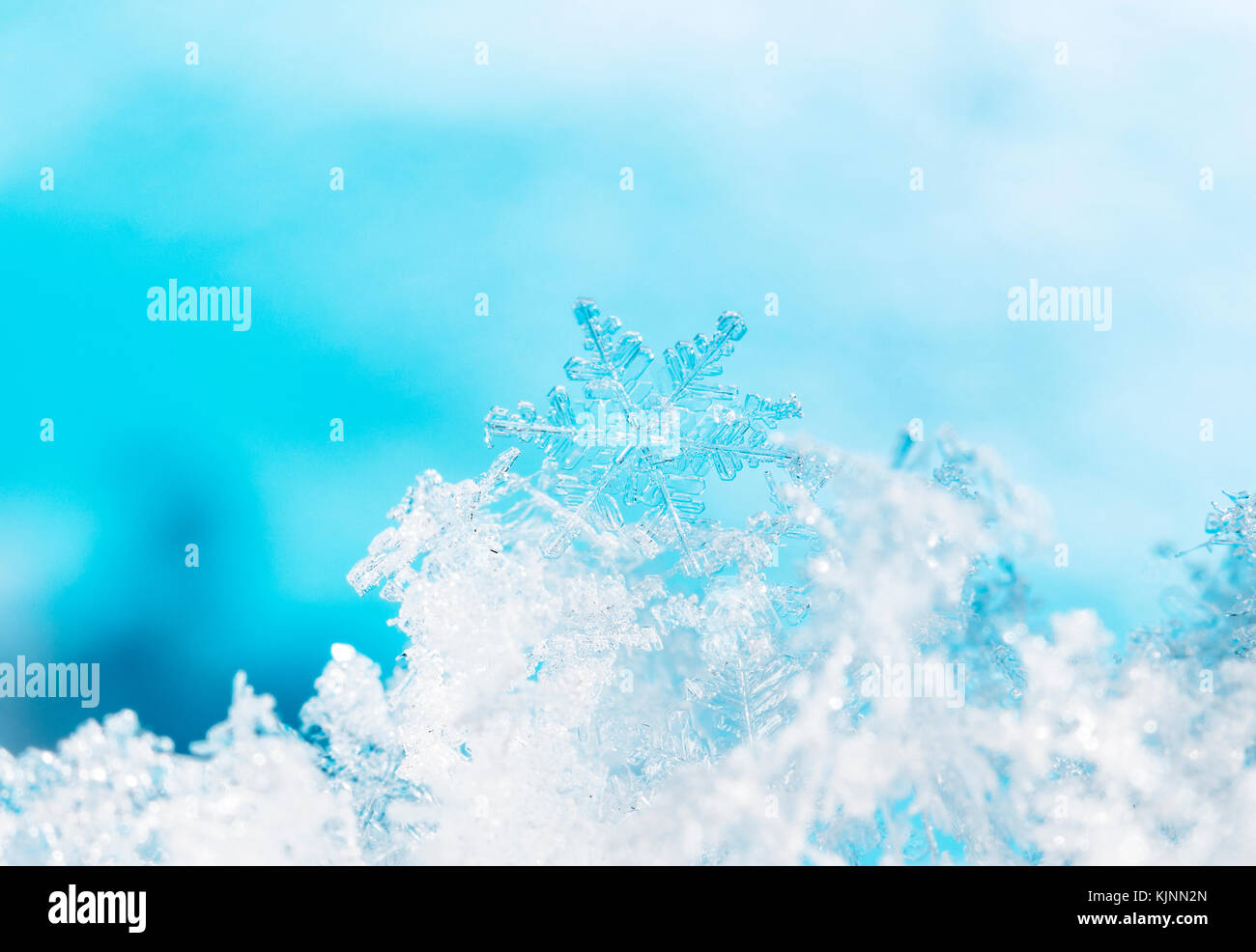 natural snowflakes on snow, photo real snowflakes during a snowfall ...