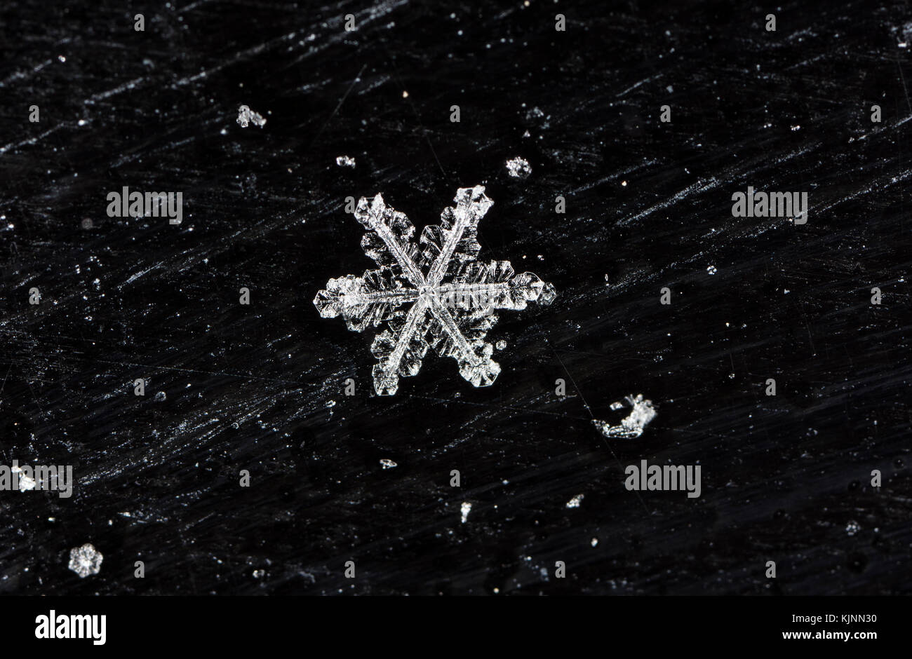 natural snowflakes, photo real snowflakes during a snowfall Stock Photo ...
