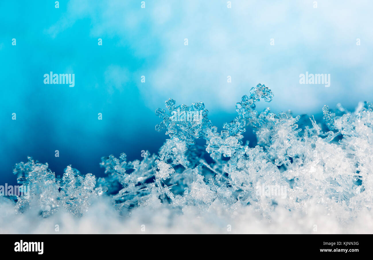 natural snowflakes on snow, photo real snowflakes during a snowfall ...