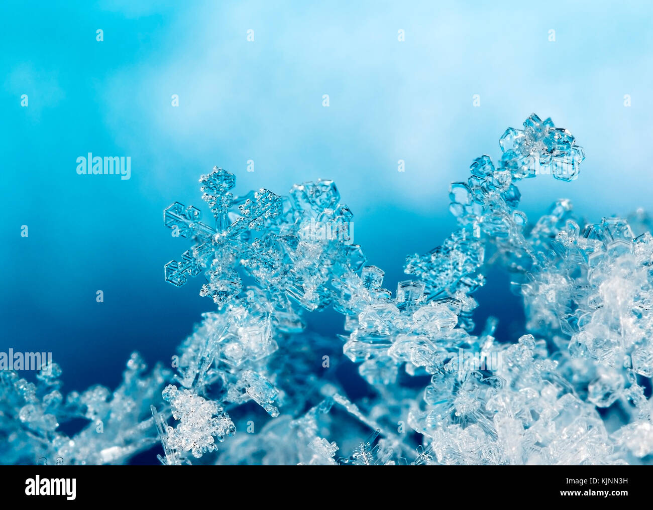 natural snowflakes on snow, photo real snowflakes during a snowfall ...