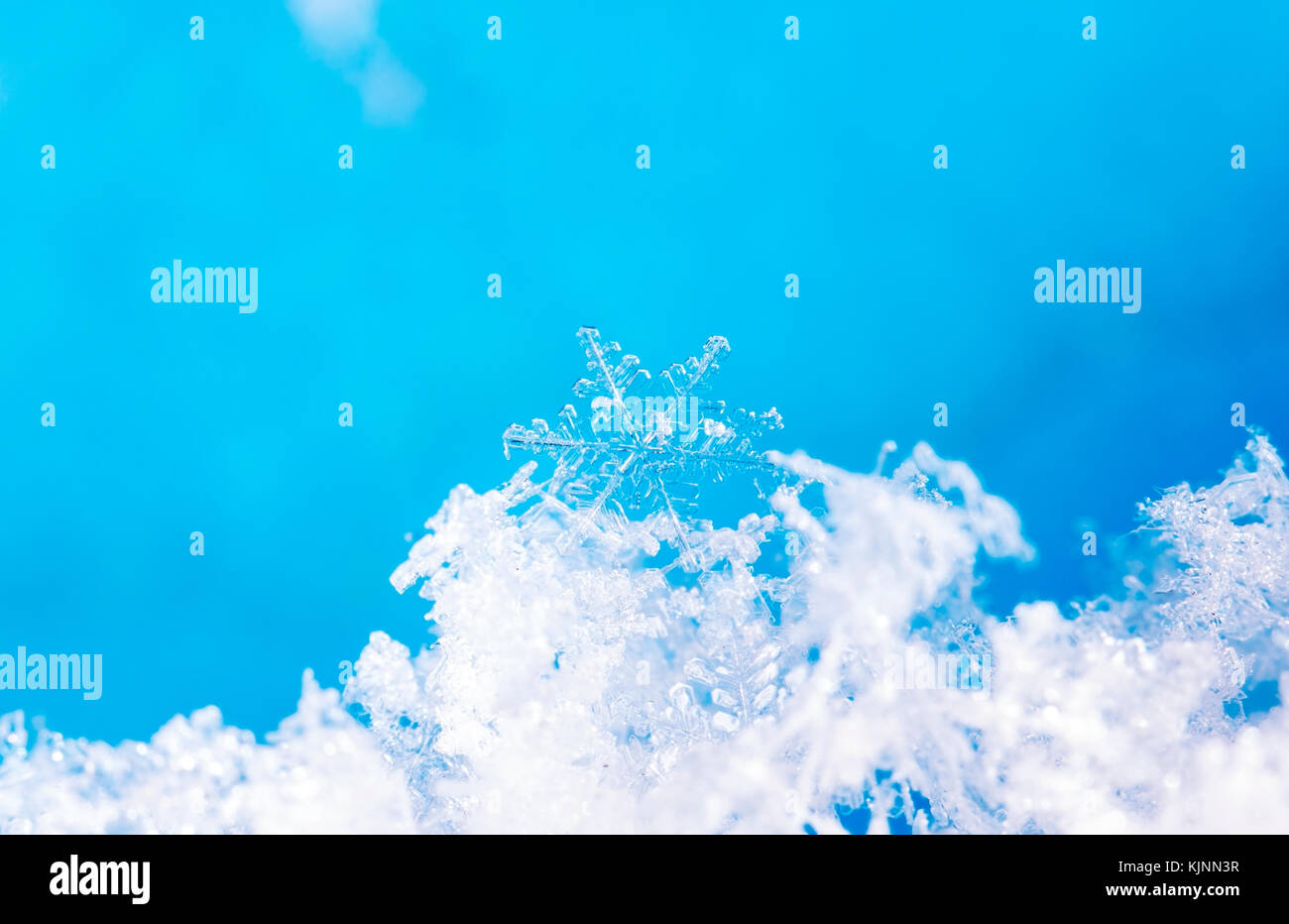 natural snowflakes on snow, photo real snowflakes during a snowfall ...