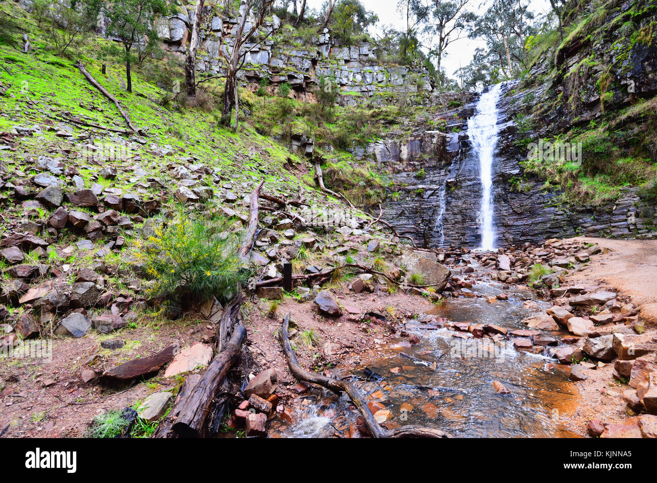 Australia Victoria. The Silverband Falls in the Grampians national park at the start of spring ...