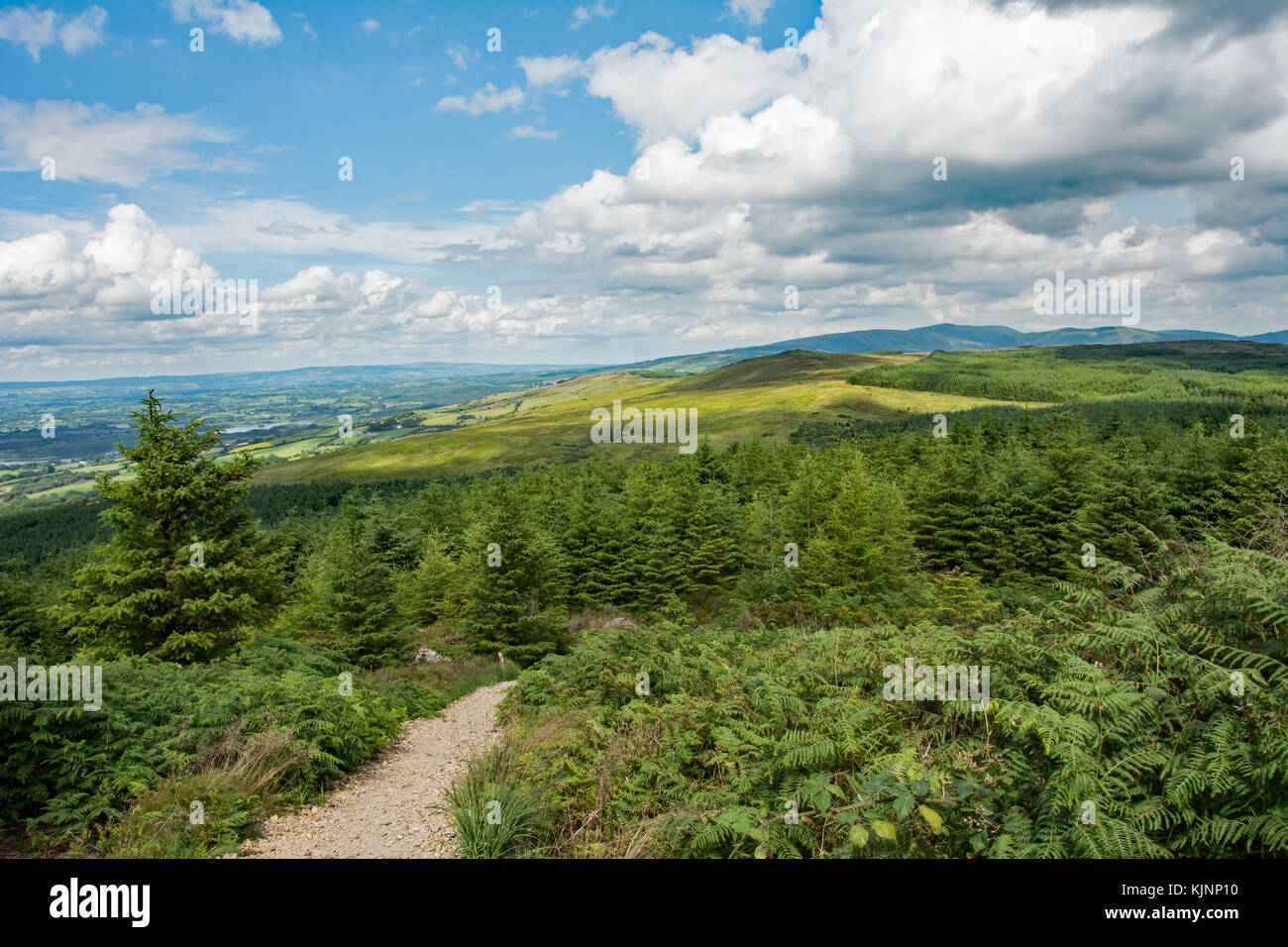 Path in Irish hills with mountains in background Stock Photo - Alamy