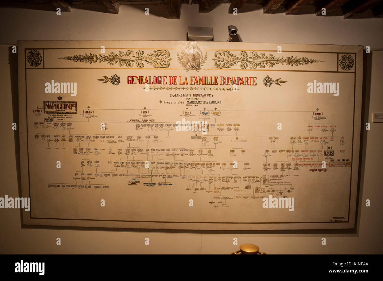 Napoleon Bonaparte Family Tree Maison Bonaparte, Corsica