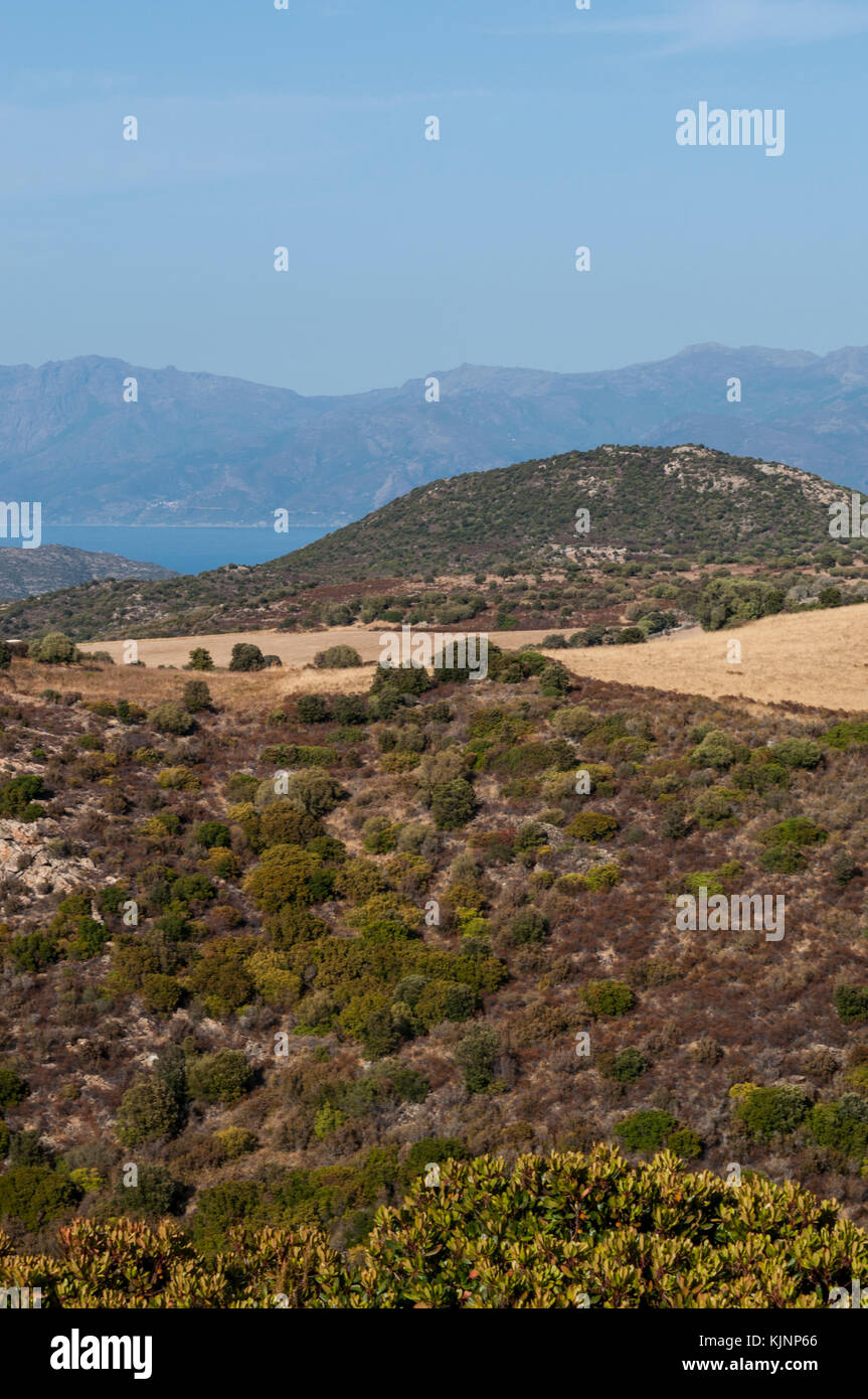 Corsica: the skyline and wild landscape of the Haute-Corse with ...