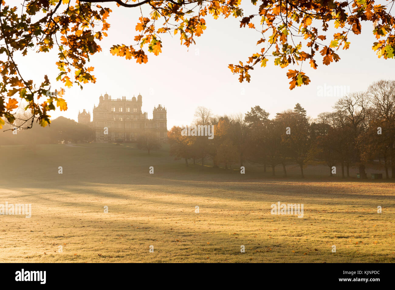 Crisp autumn morning light at Wollaton Hall and Deer Park in Nottingham ...