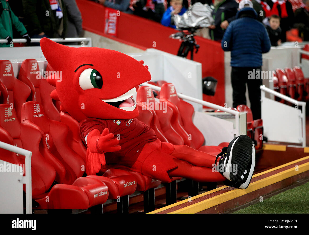 Liverpool mascot hi-res stock photography and images - Alamy