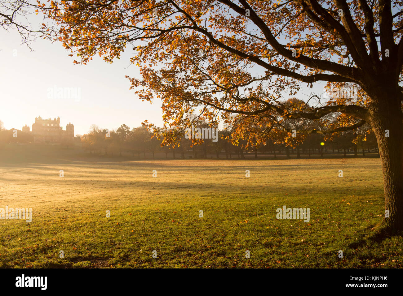 Crisp autumn morning light at Wollaton Hall and Deer Park in Nottingham ...