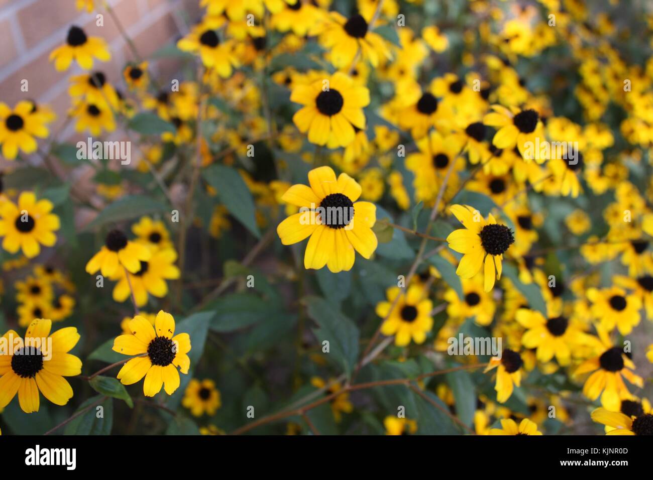 Inspiring nature hi-res stock photography and images - Alamy