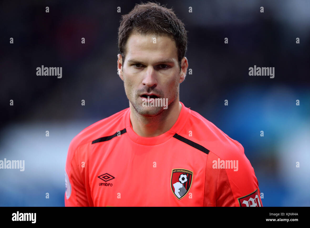 AFC Bournemouth goalkeeper Asmir Begovic Stock Photo - Alamy