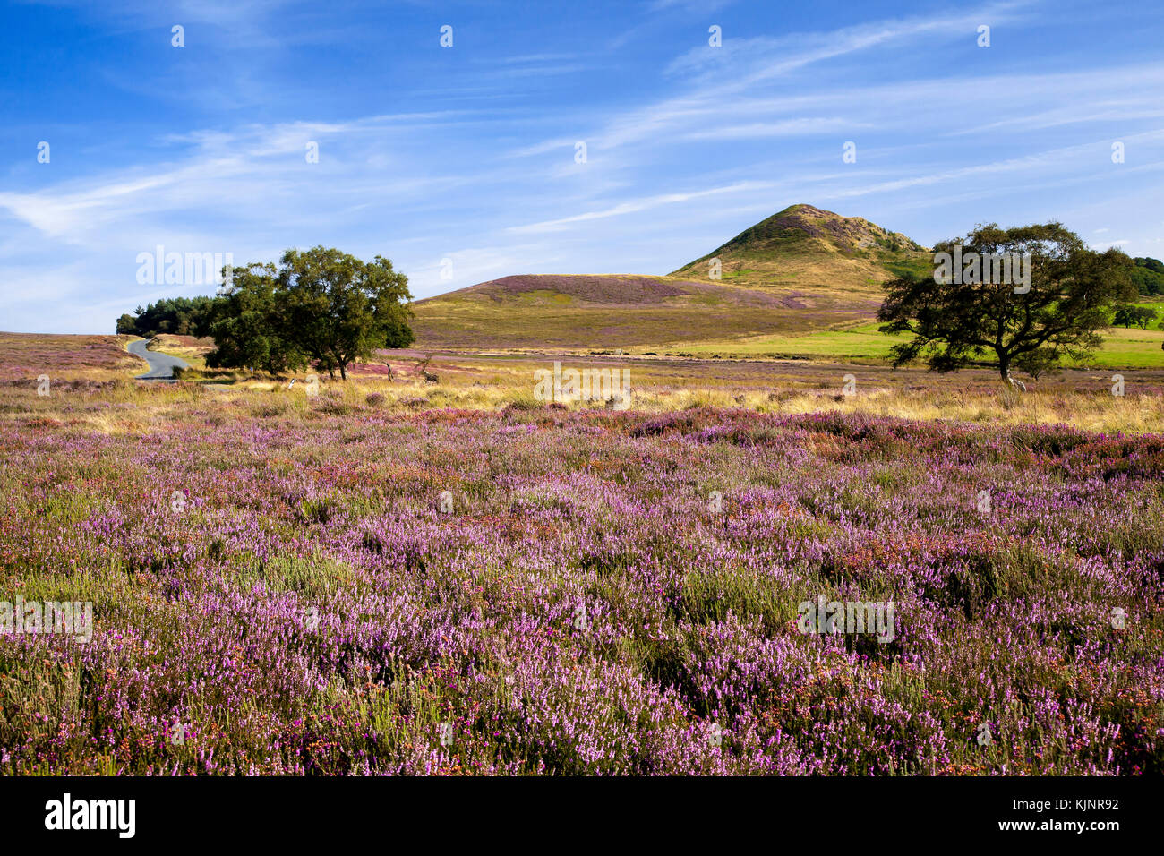 Hawnby hi-res stock photography and images - Alamy