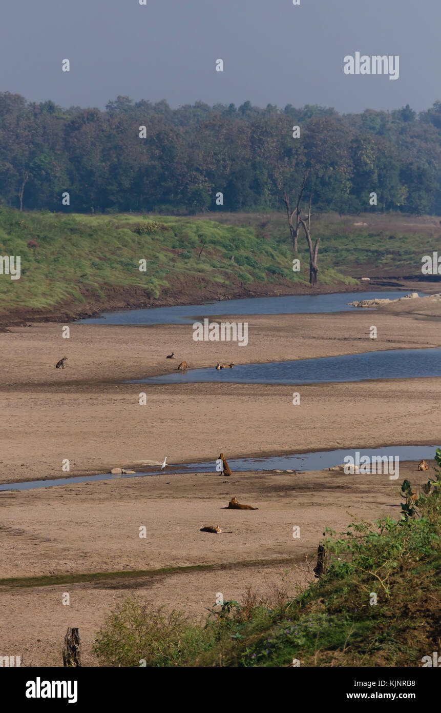 Pench Mp High Resolution Stock Photography and Images - Alamy