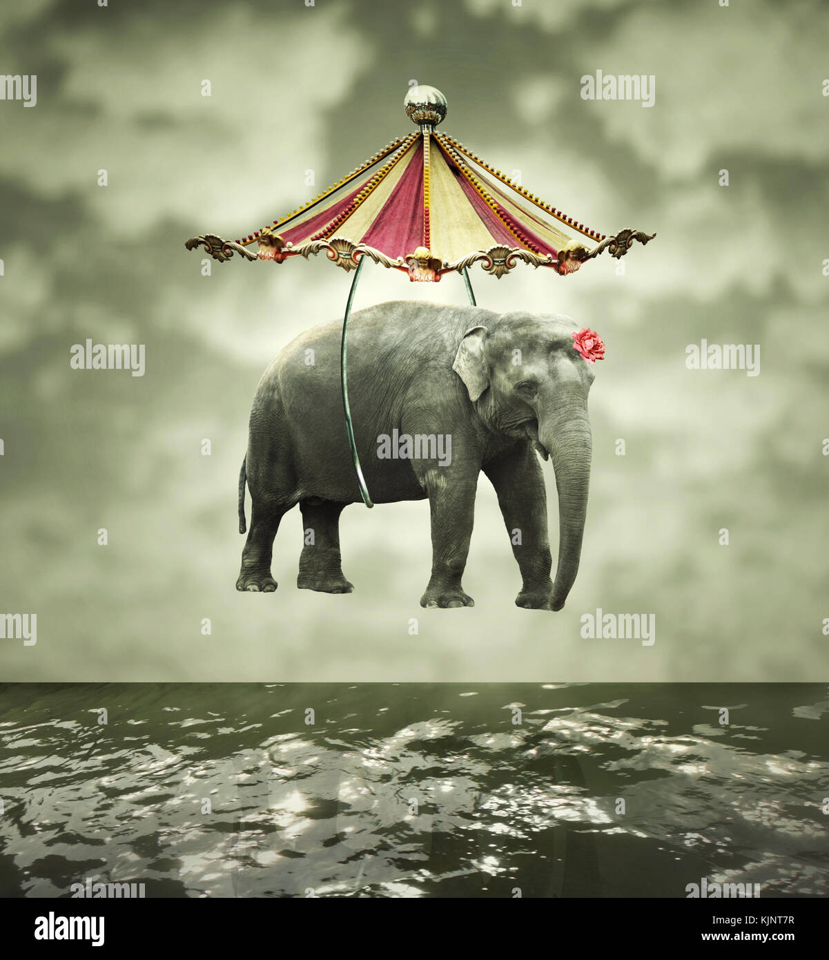 Flying elephant hi-res stock photography and images - Alamy