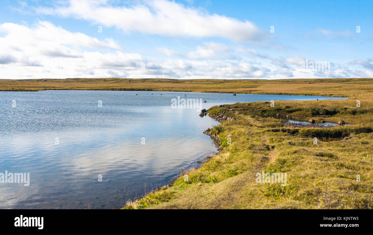 travel to Iceland - Leirvogsvatn lake in swamp landscape of Iceland in ...