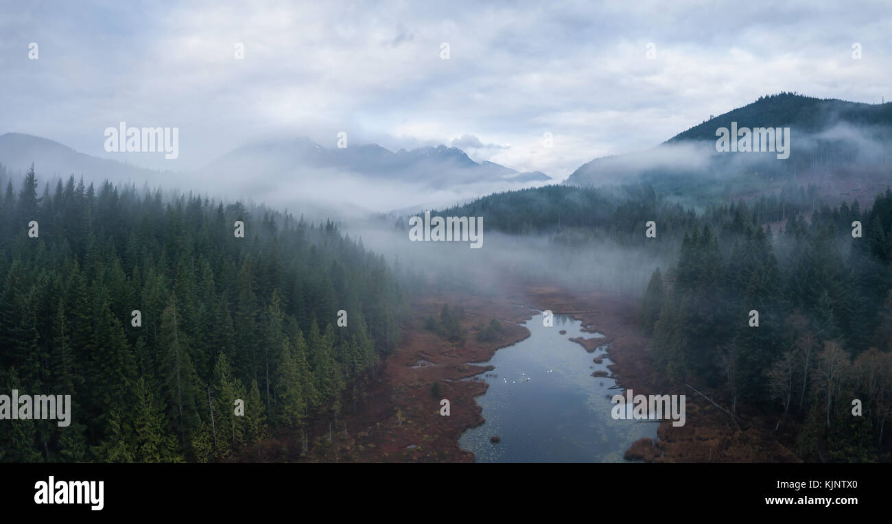Beautiful and vibrant aerial drone panoramic view of a swampy lake ...