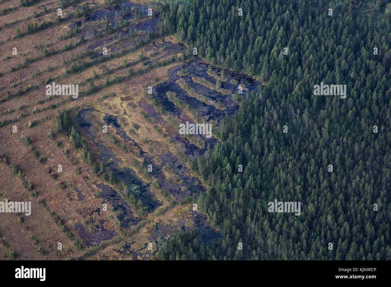 Fort langley in british columbia hi-res stock photography and images ...