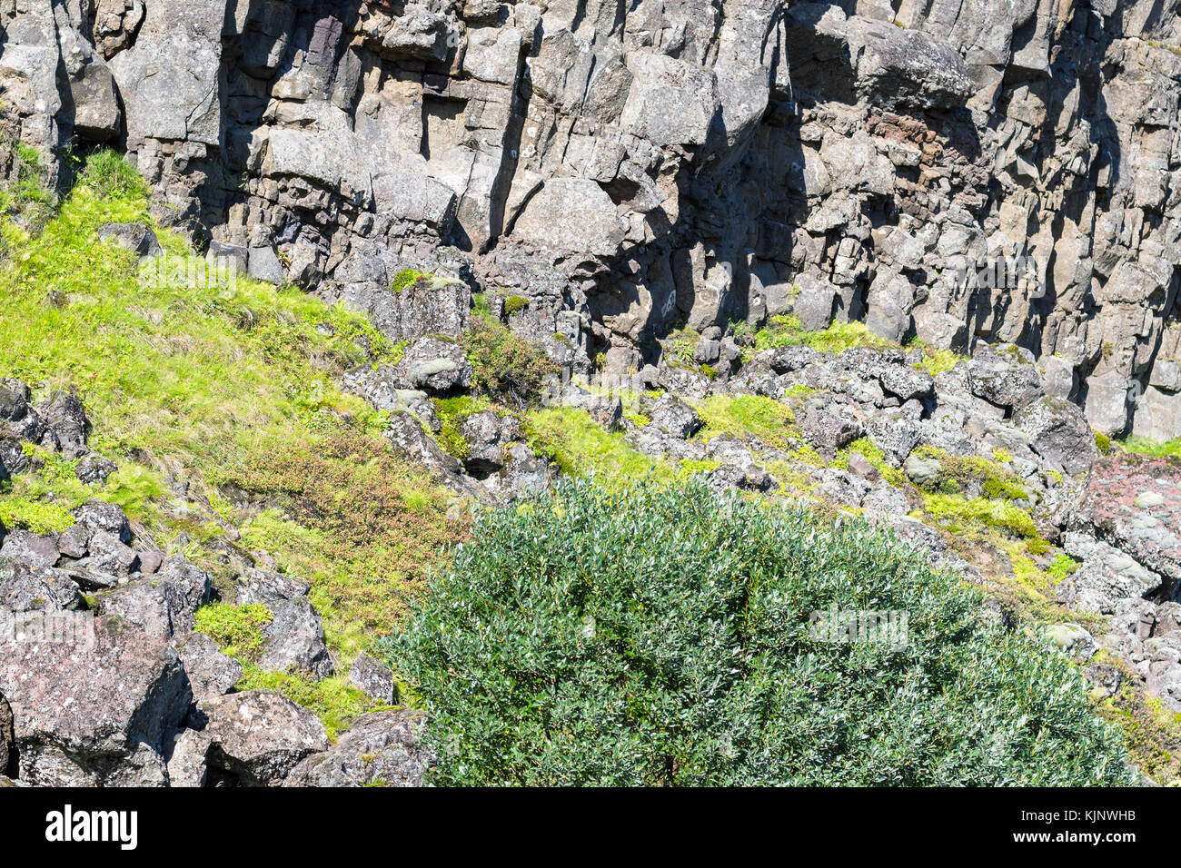 Almannagja fault thingvellir hi-res stock photography and images - Alamy