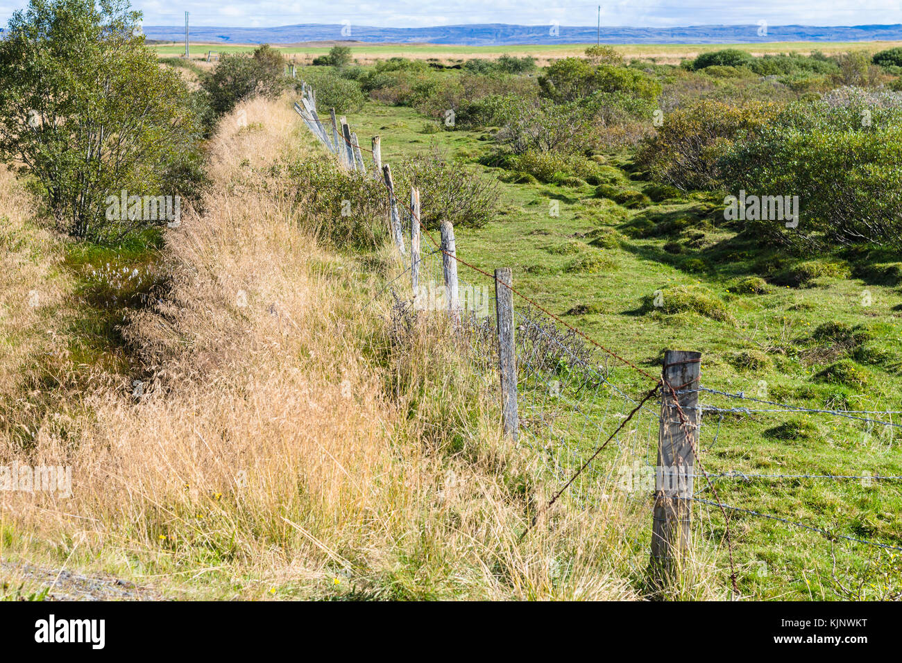 travel to Iceland - country landscape with near Efri Reykir village in ...