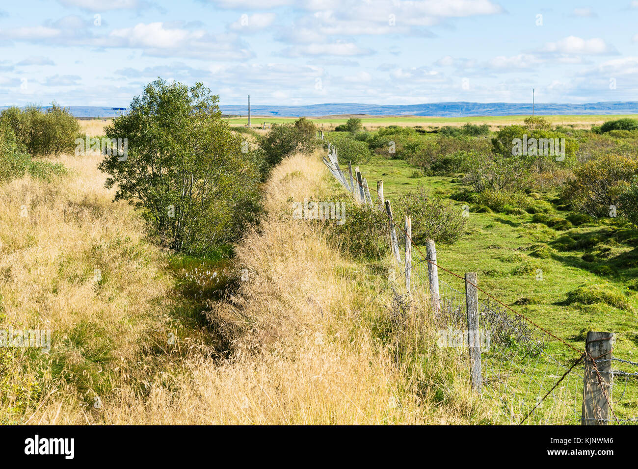 travel to Iceland - rural landscape with near Efri Reykir village in ...