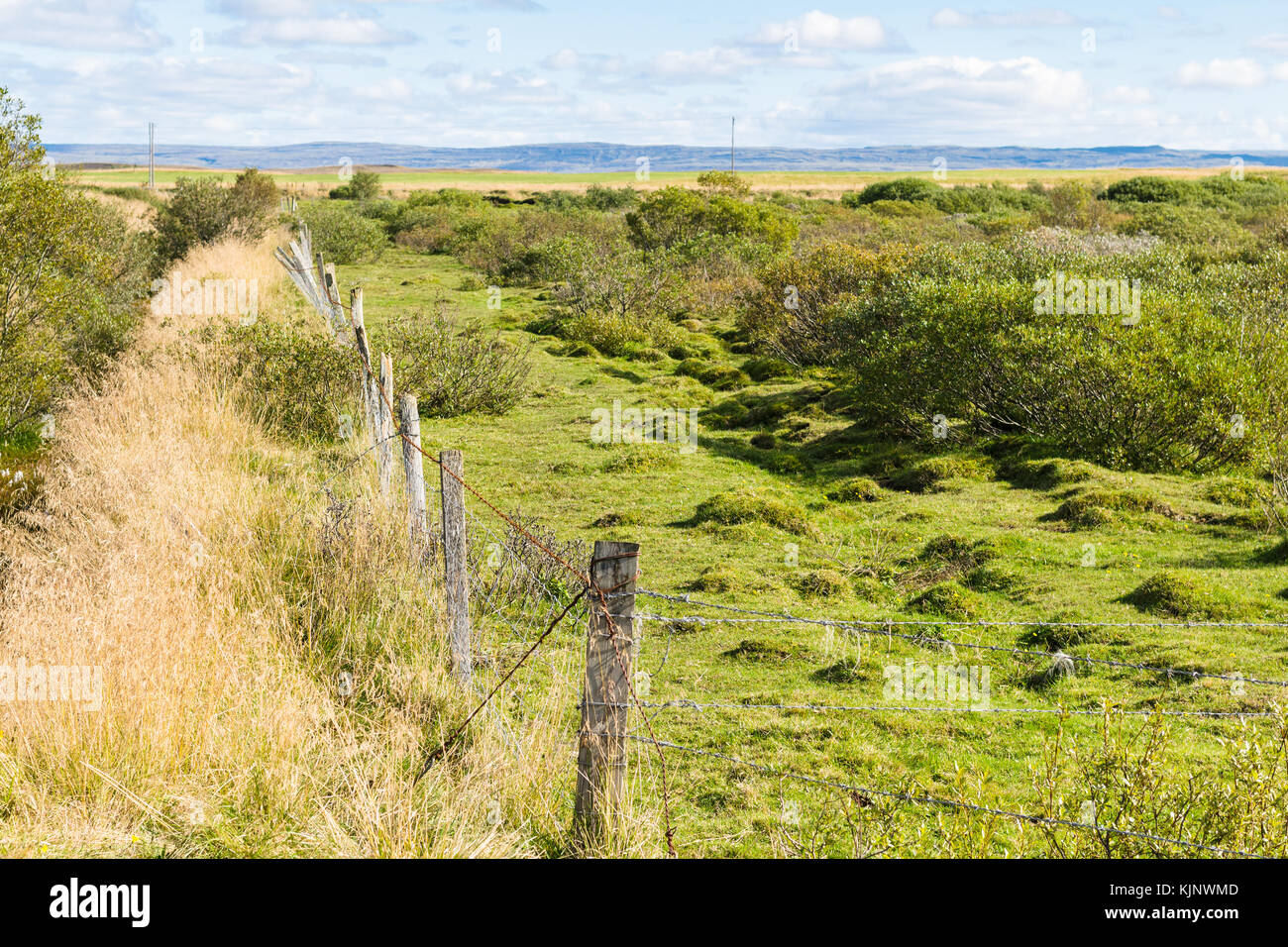 Efri reykir hi-res stock photography and images - Alamy