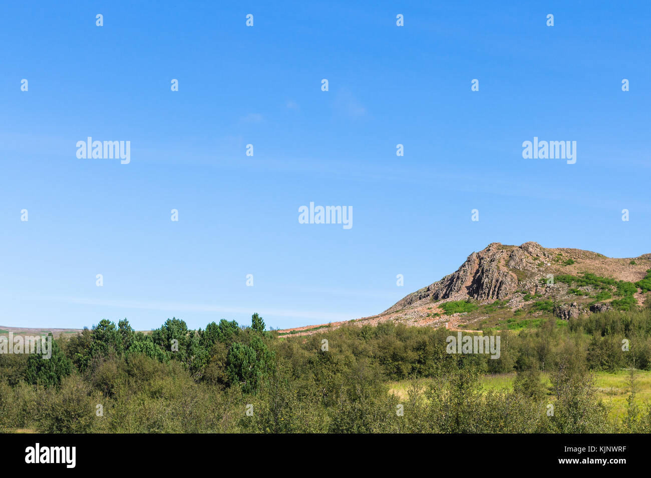 Haukadalur forest hi-res stock photography and images - Alamy