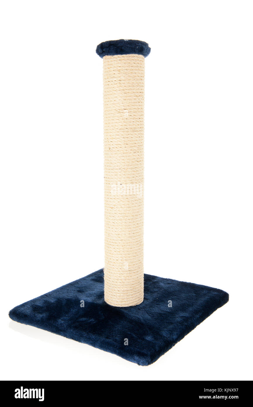 Blue scratching pole for cats isolated over white background Stock ...