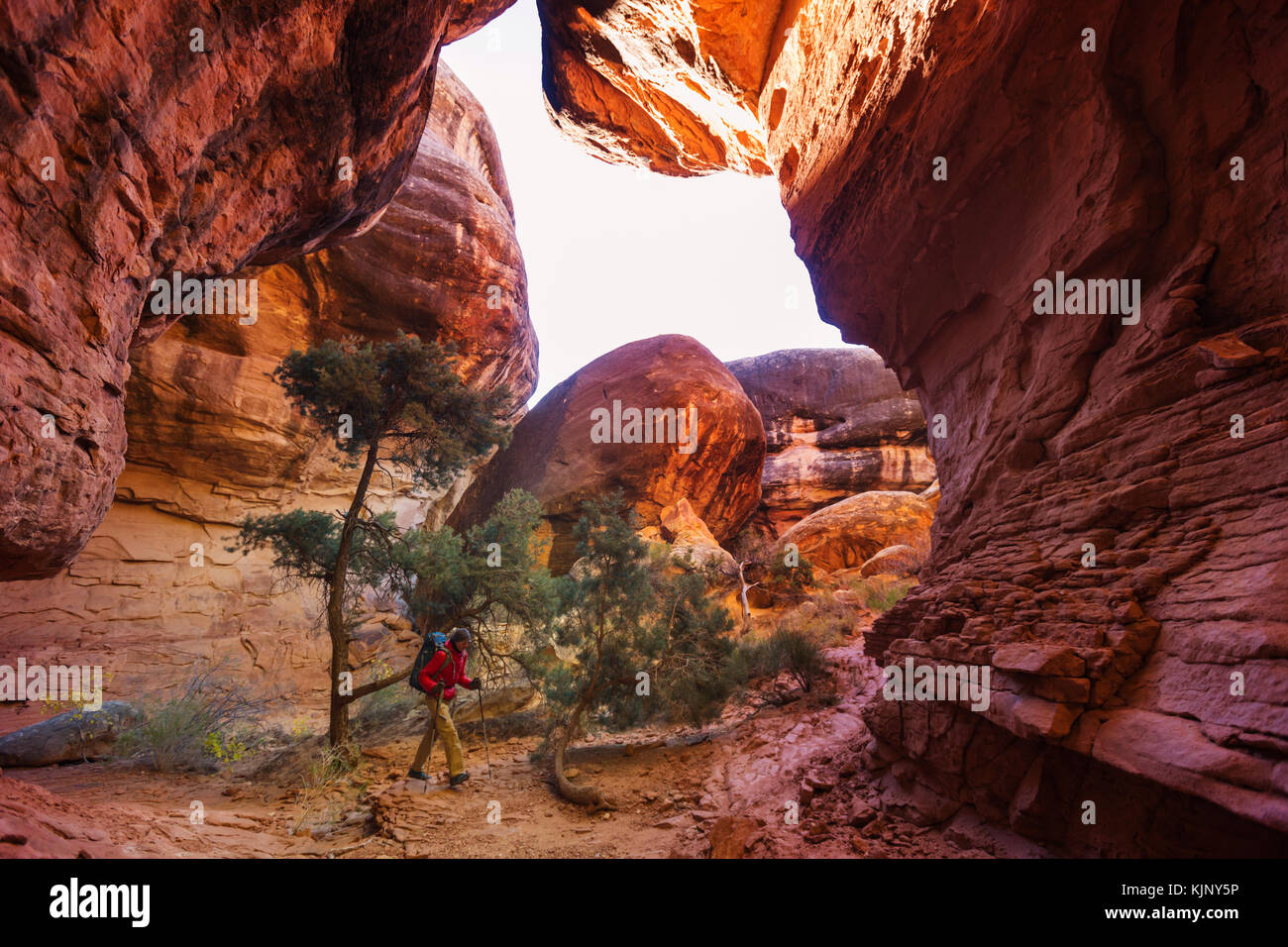 Hike in the Utah mountains Stock Photo - Alamy
