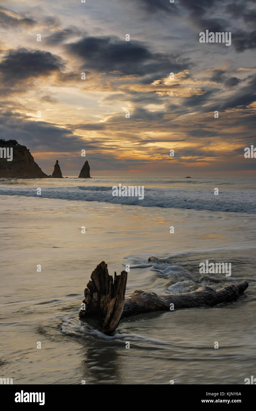 Early morning on the beach at Karitane Stock Photo - Alamy