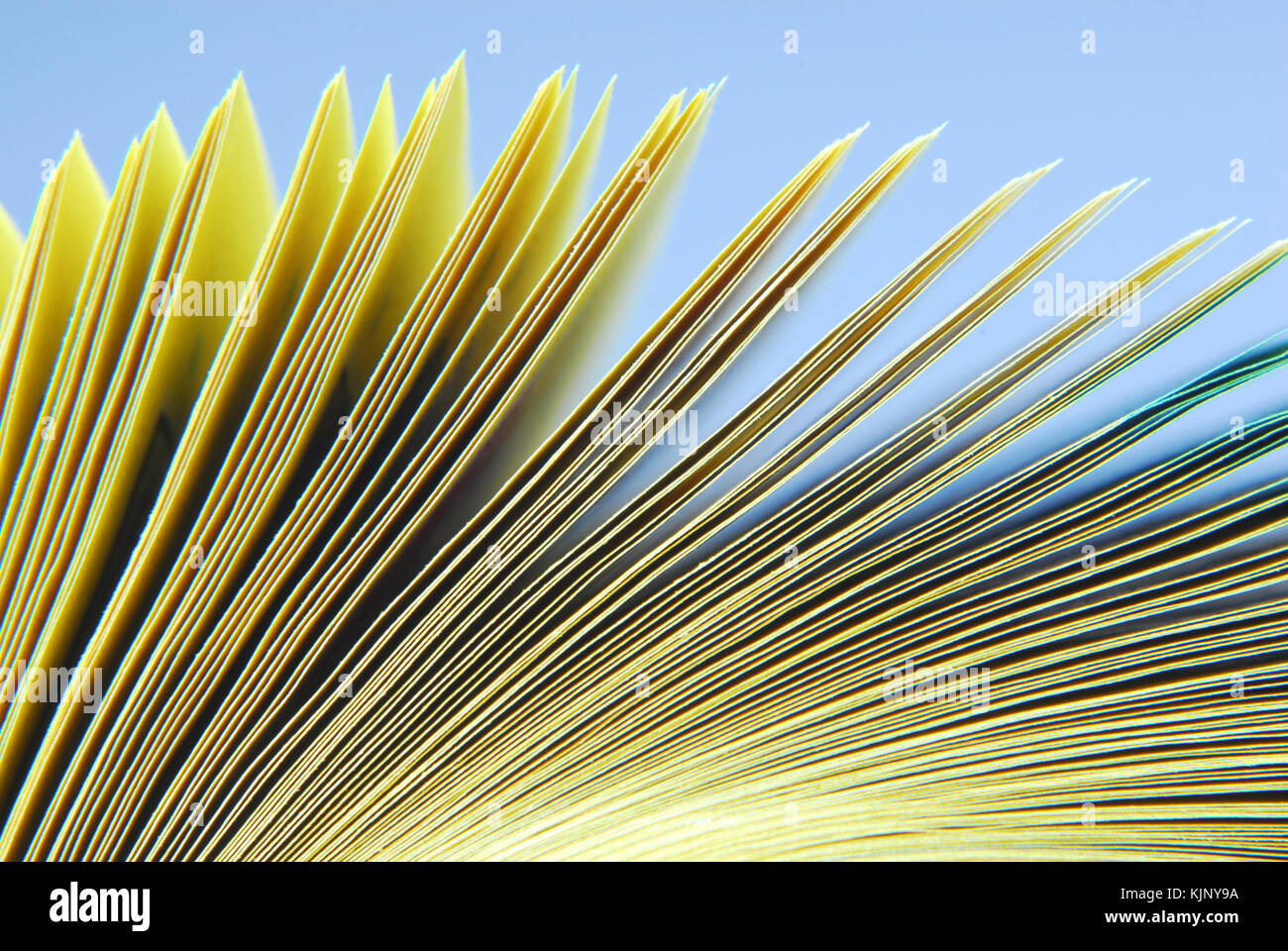 paper catalog macro texture Stock Photo - Alamy